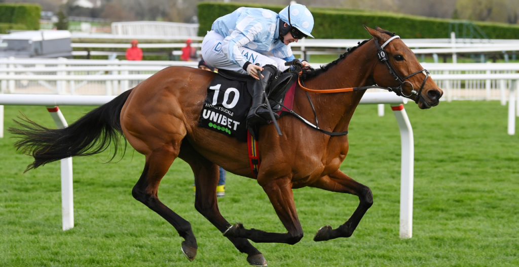 Cheltenham Betting Tips 2026 | Unibet UK