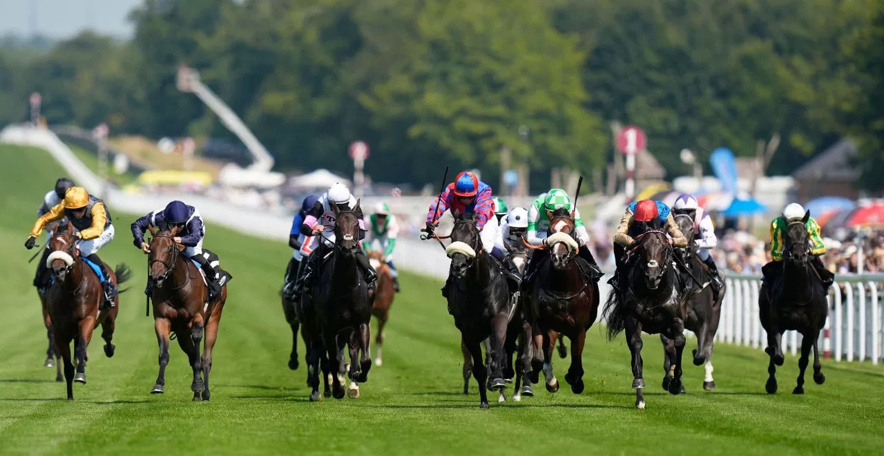 The Wine Tipster: "You can expect him to deliver another strong ...